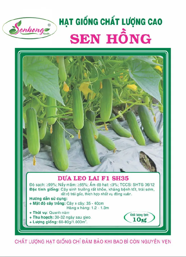 DƯA LEO LAI F1 SH35